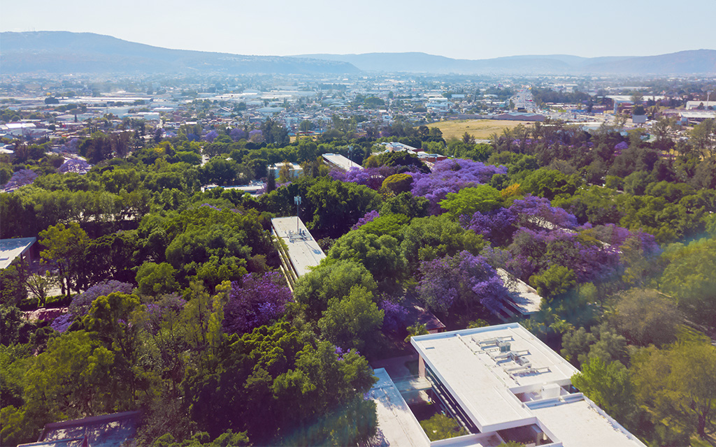 El ITESO se mantiene como la universidad privada más sustentable de ...
